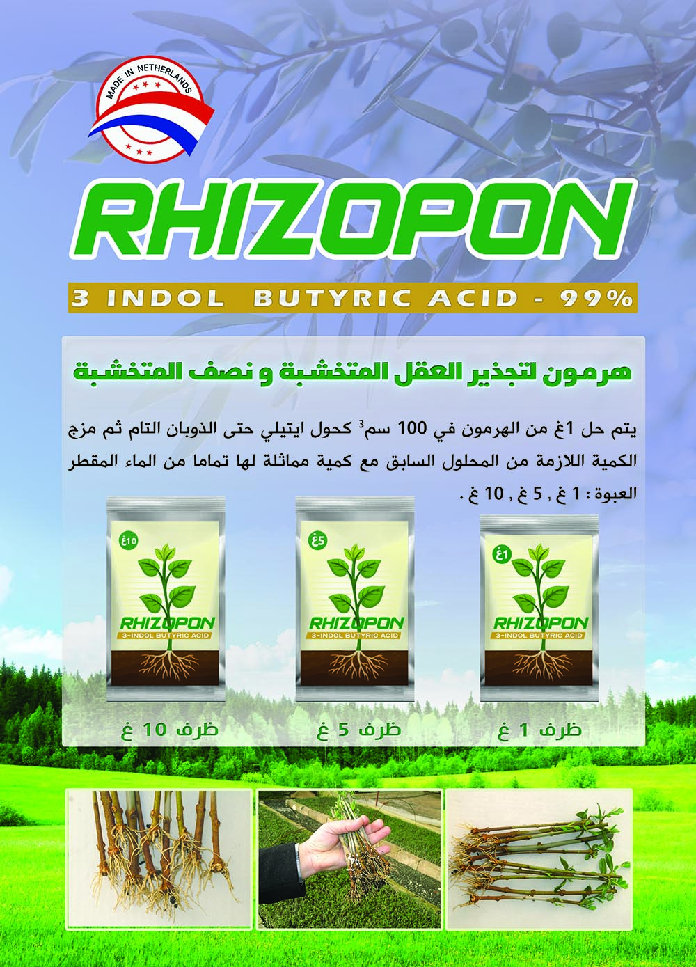 Rhizopon - Holland - Royal Fields